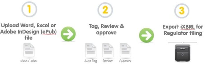 iXBRL Tagging - Alui